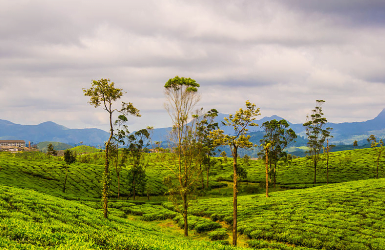 Top 10 Places to Visit in Valparai - Valparai Tourist Places & Tourist ...