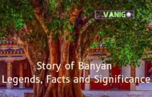 National Tree of India: Banyan Tree Facts, Importance & Significance ...