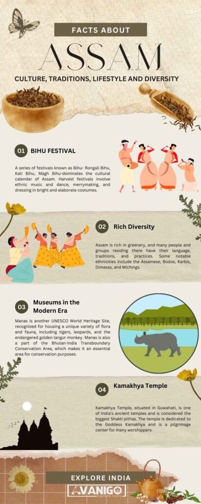 Facts about Assam - A Deeper View Beyond the Renowned Assam Tea - AvaniGo